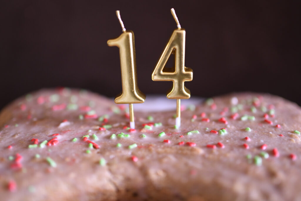 Remington is 14! - Kansas City Dog and Pet Photography by Jen Starr