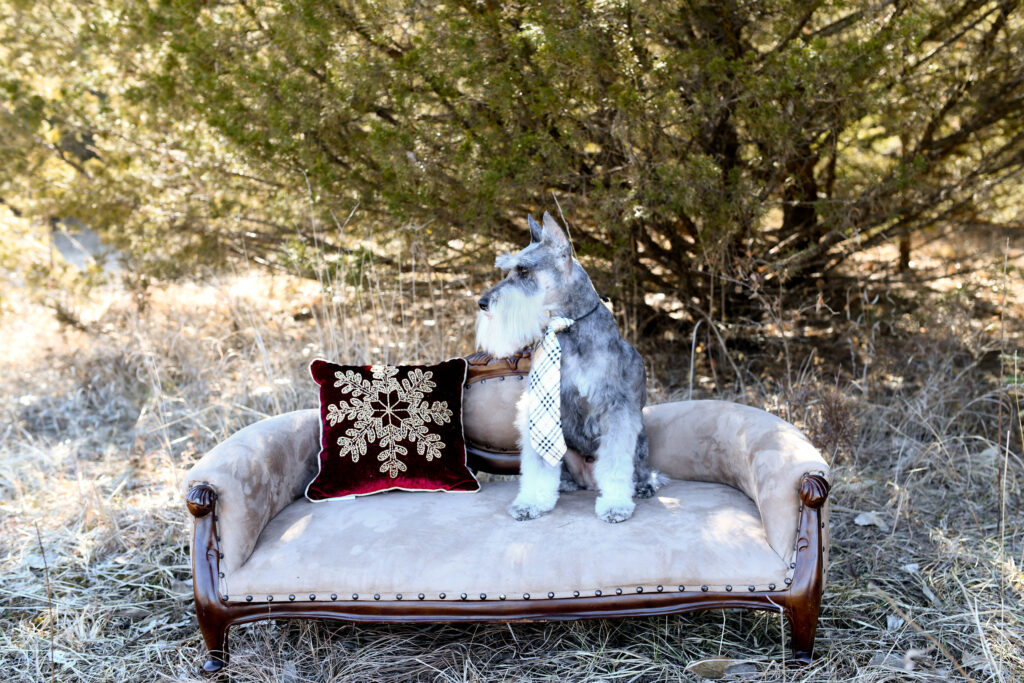 Rustic Kansas City Mini Sessions - Coming Year-round in 2018! - Kansas ...