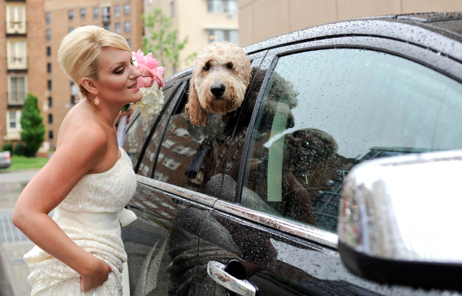 Kansas City Wedding Photography - Kansas City Dog and Pet Photography ...