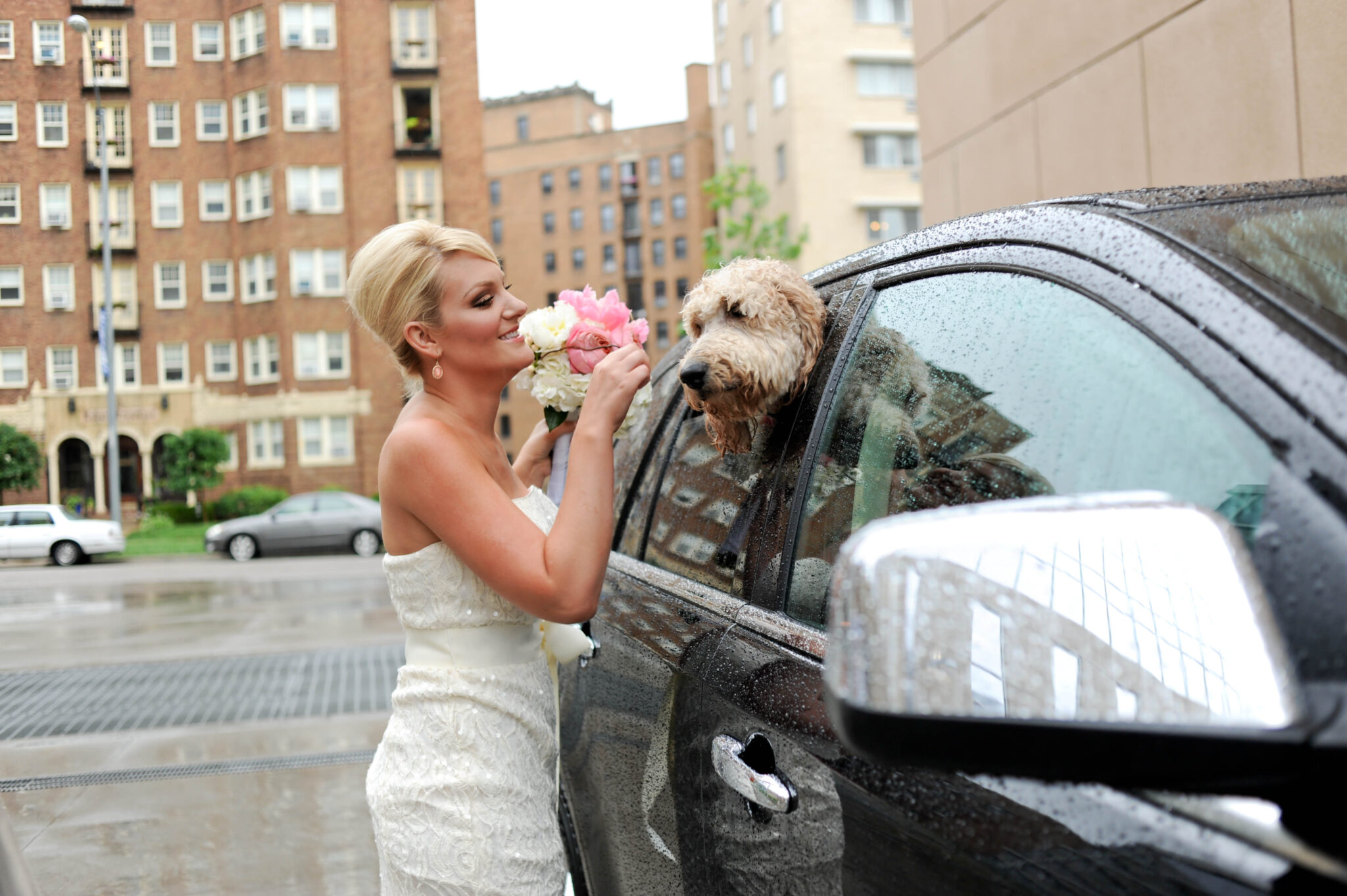Kansas City Wedding Photography - Kansas City Dog and Pet Photography ...