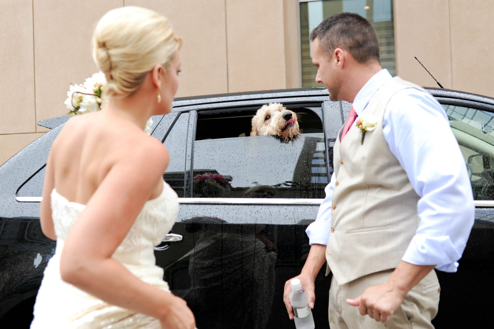 Kansas City Wedding Photography - Kansas City Dog and Pet Photography ...