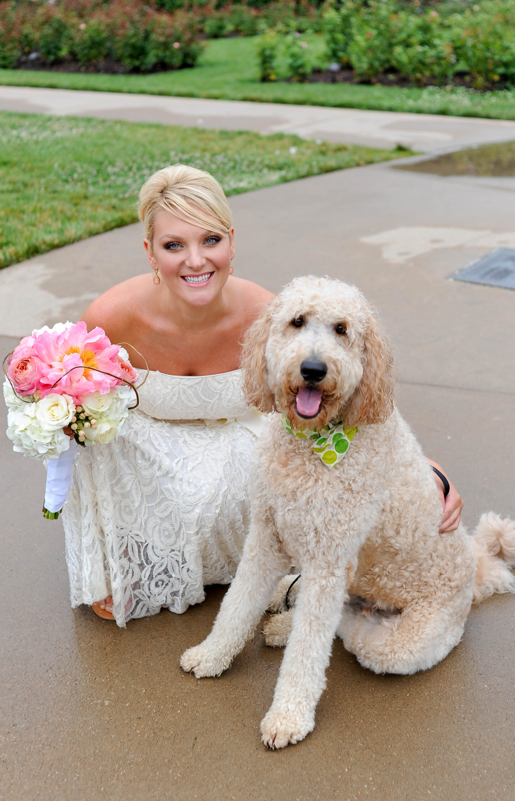 Kansas City Wedding Photography - Kansas City Dog and Pet Photography ...