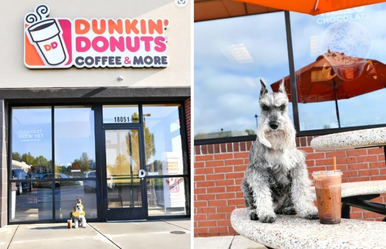 Pup Cups at Local Coffee Shops - Starbucks, Dunkin, Dutch Bros - Kansas ...